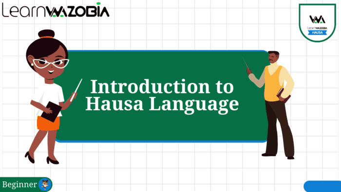 Introduction to Hausa Language (Beginner Course + Live Lessons ...